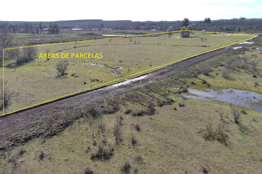 Parcelas agroecológicas - SERAFOR